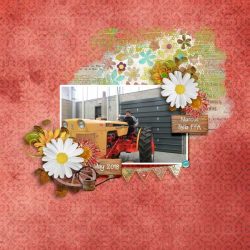 Free Fallin’ is on Sale Now! – Aimee Harrison Designs