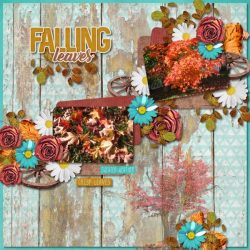 Free Fallin’ is on Sale Now! – Aimee Harrison Designs