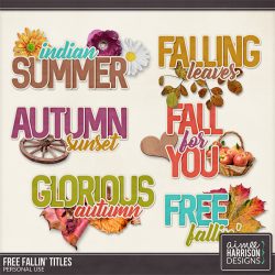 Free Fallin’ is on Sale Now! – Aimee Harrison Designs