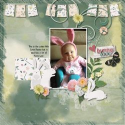 Bunny Love Collection and Freebie! – Aimee Harrison Designs