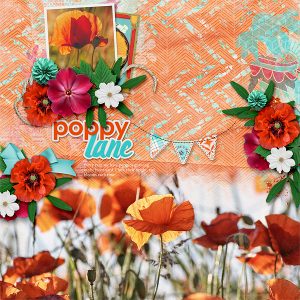 Poppy Lane is on Sale and a Freebie! – Aimee Harrison Designs