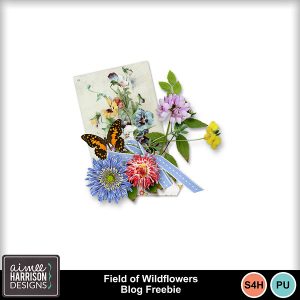 Field of Wildflowers is on Sale and a Freebie! – Aimee Harrison Designs