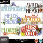 Field of Wildflowers is on Sale and a Freebie! – Aimee Harrison Designs